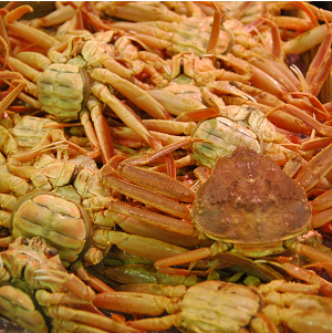 2か月だけの期間限定～せこがにの予約注文はこちらから！ - セコガニを通販でお届け～予約はココから！